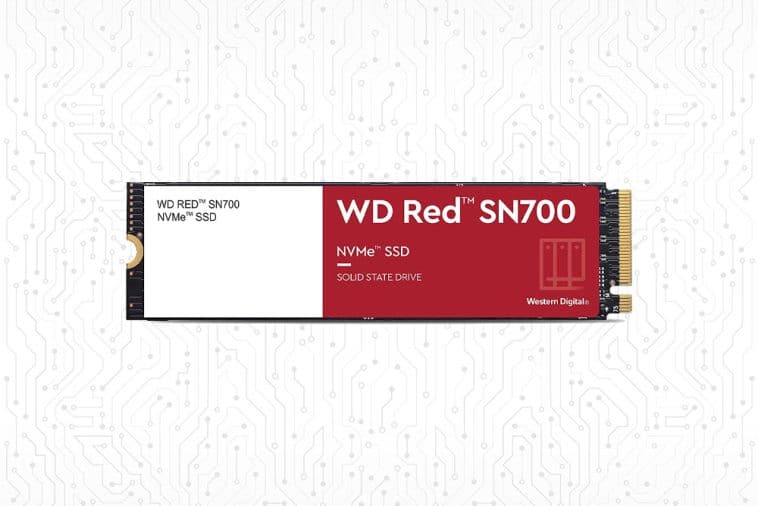 Western Digital Red vs Purple: Differences + Pros & Cons